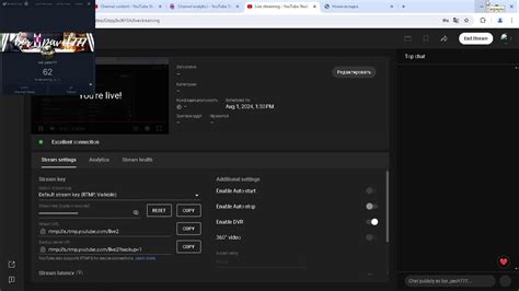 стрим пиар оценка каналов Youtube