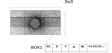 The Grid Cells Were Created From The Image And Each Grid Cell Has