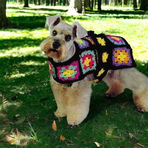 Crochet Dog Sweater Pattern Small To Medium Vintage 1970s Boho Pattern