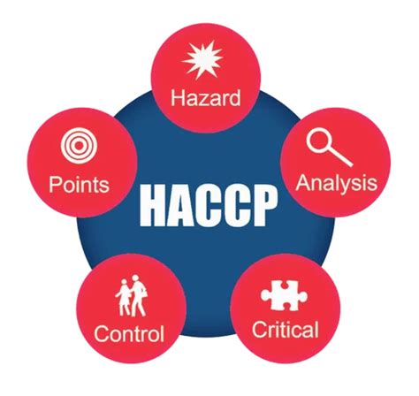 HACCP Hazard Analysis And Critical Control Points In Faridabad ID
