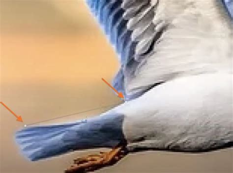 How To Remove Background In Gimp 5 Methods Unlimited Graphic Design