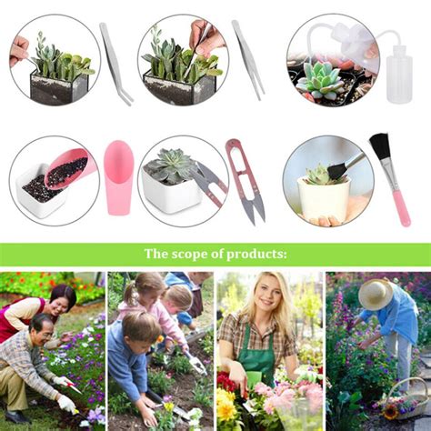 241216pcs Garden Planter Kit Diy Sowing Succule Vicedeal