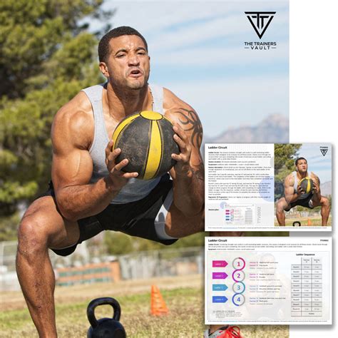 Ladder Circuit