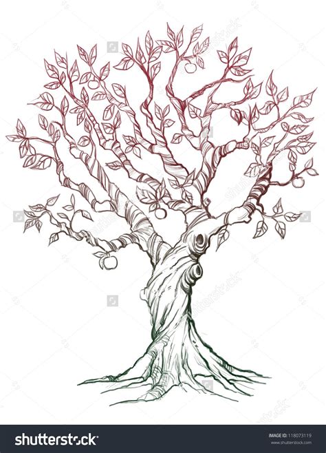 How To Draw An Apple Tree