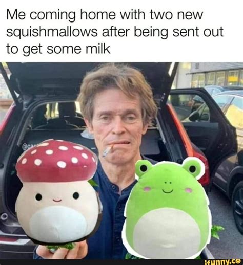 Me Coming Home With Two New Squishmallows After Being Sent Out To Get Some Milk Ifunny