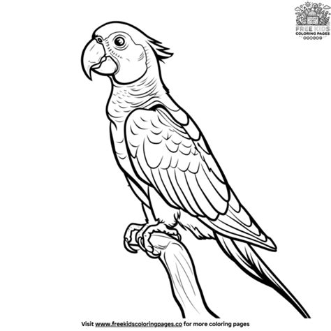 Dynamic Exotic Bird Coloring Pages