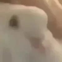 Game Jolt Share Your Creations