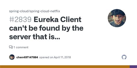 Eureka Client Can T Be Found By The Server That Is Authenticated By The User Issue