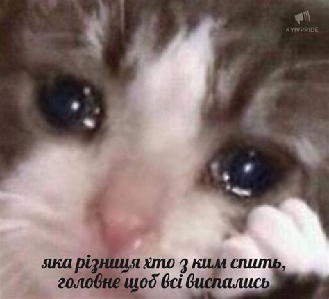 Pin Di Мария Su укр меми