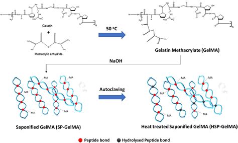 Improving Printability Of Hydrogel Based Bio Inks For Thermal Inkjet Bioprinting Applications