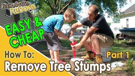 Diy Stump Removal Chemical At Aaron Edwards Blog