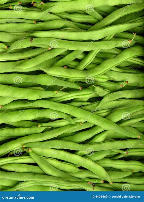 String Beans Stock Image Image Of Meal Philippines Beans 4406569