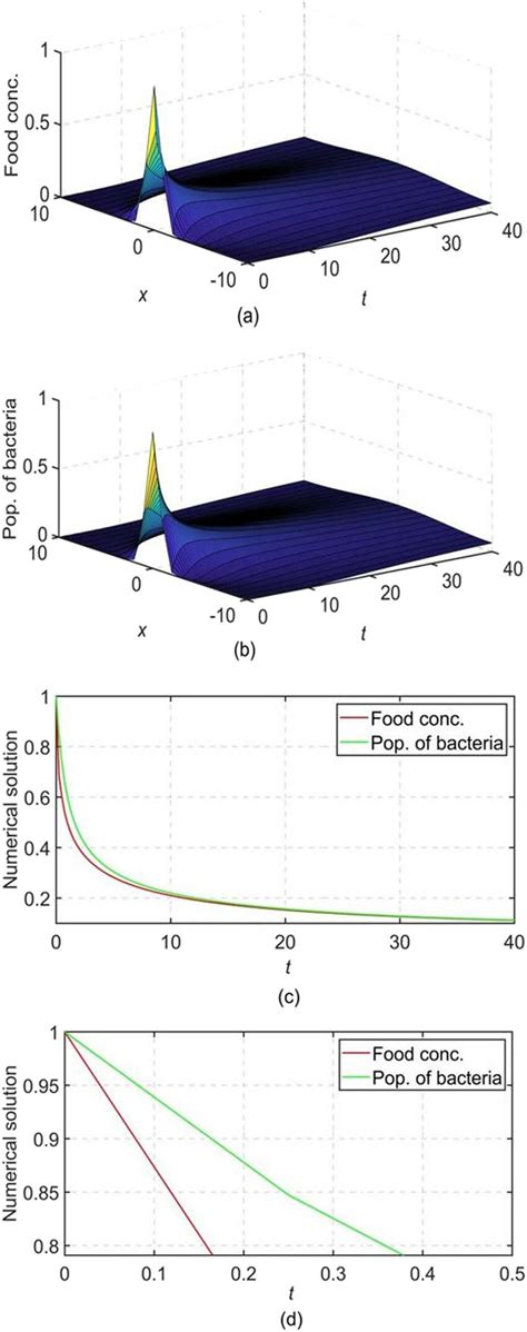 Results For The Chemotaxis Model Using NSFD1 With K 0 1178 And H