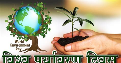 विश्व पर्यावरण दिवस पर मधुमिलन चौराहा स्थित सिटी फॉरेस्ट में होगा