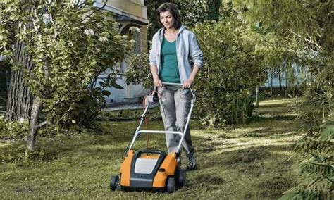[Test, avis et prix] Scarificateur électrique Stihl RLE 240