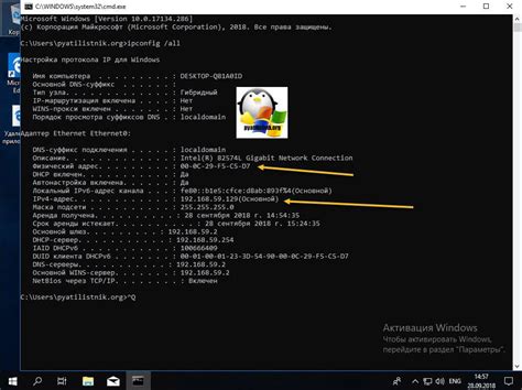 Как узнать Ip адрес компьютера Windows Macos за минуту Настройка серверов Windows и Linux