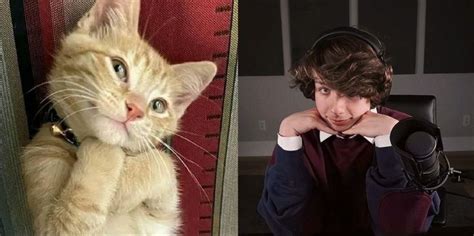 Karl Jacobs As A Cat Karl Jacobs Husband
