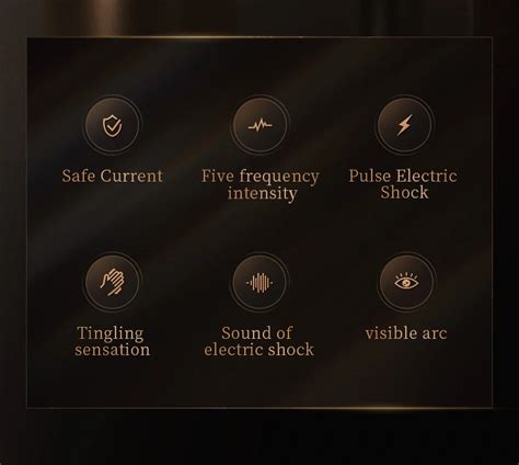 BDSM Electric Shock Rod ZW 127 Roomfun Sex Toys Products Factory