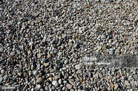 콘크리트 패널 벽 근처 라벤더 시멘트 보드로 만든 울타리 라벤더는 구체로 자른다 흰색 석회암 대리석 자갈로 만든 뿌리 덮개도로 아스팔트 연석 0명에 대한 스톡 사진 및 기타