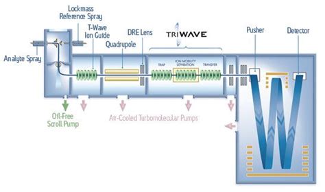 Mass Spectrometry Detector Bar Chart