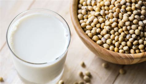 喝完豆漿就脹氣？ 醫揭4原因 「這物質」恐導致食物中毒 引新聞