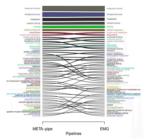 Comparison Of Counted Go Slim Annotations From Meta Pipe And The Emg Download Scientific