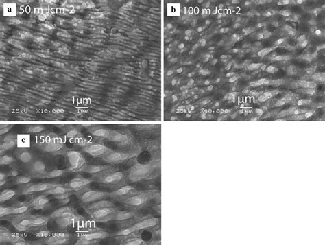 Sem Images Revealing Various Kinds Of Grown Nanostructure At The