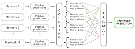 Argmax Ensemble Architecture Working On N Networks Download Scientific Diagram