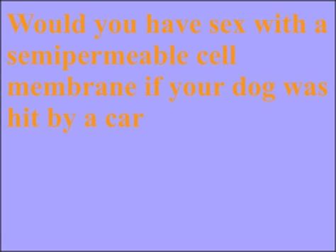 Would You Have Sex With A Semipermeable Cell Membrane If Your Dog Was