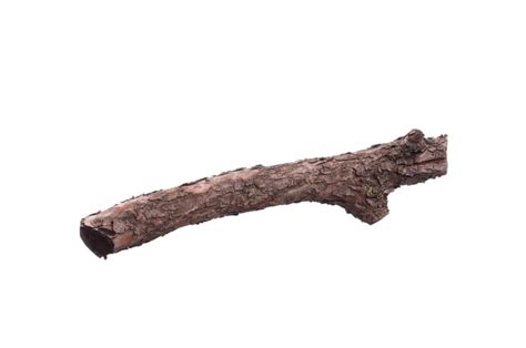 Premium Photo Single Dry Tree Branch Isolated On White Background