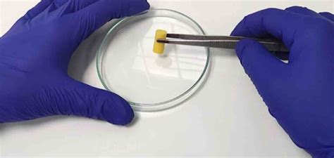 New Biomaterial For 3d Printing Can Regenerate Bones And Prevent