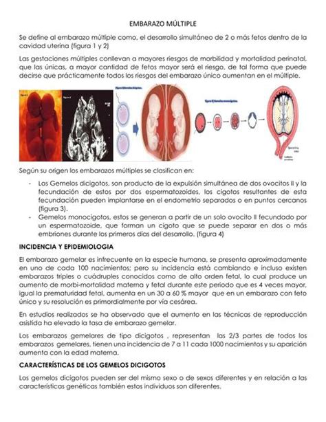 EMBARAZO MÚLTIPLE Camila Marcano uDocz