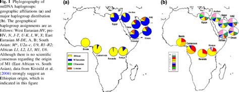 Phylogeography Of Mtdna Haplogroups Geographic Affiliations A And