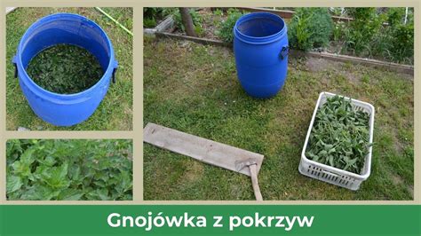 Jak Zrobi Gnoj Wk Z Pokrzyw Youtube