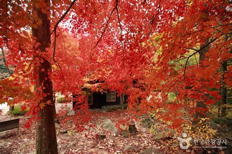 국립 방장산자연휴양림