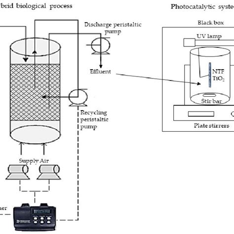Biological Photocatalytic Sequential System Download Scientific Diagram