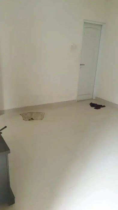 Dijual Rumah Mewah Minimalis Di Beranda Bali Bsb City Semarang