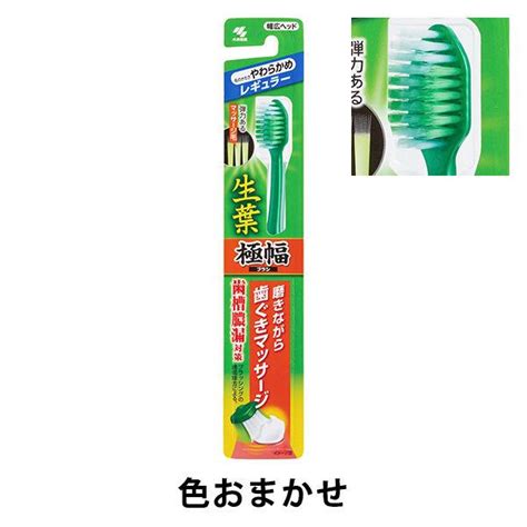 생엽하 것인 바와 같이하도록극폭브러시 레귤러 헤드 유연함부드러움 거북이 코바야시 제약 칫솔 치주병치조농루 재팬스토어 일본약 의약품 전문 직구 쇼핑몰