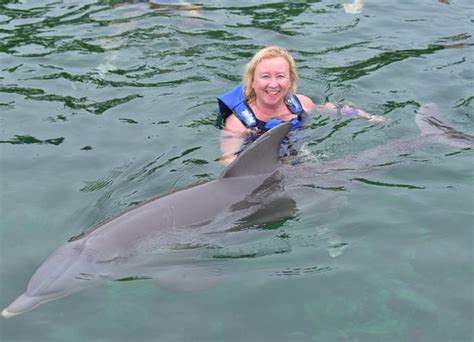 Delphinus Xel Há Tulum Aggiornato 2020 Tutto Quello Che Cè Da Sapere Tripadvisor