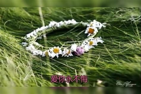 倾情推荐高安经典歌曲爱情万万岁满满的情怀