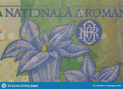 Fragment Of 10000 Romanian Lei Banknote 1999 Series Polymer Stock