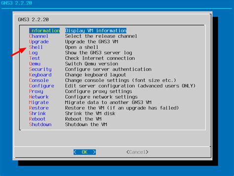Nextpertise Gns3 Attached To Esxi A Personal Journal Of Interesting Ideas