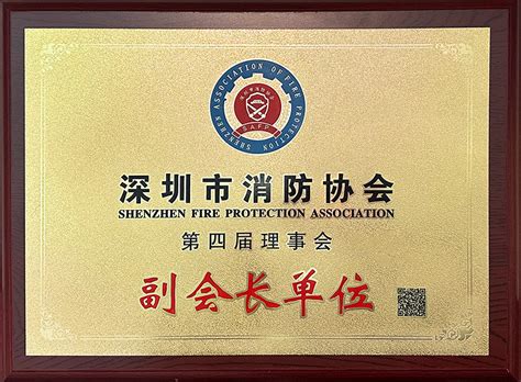 深圳市赋安安全系统有限公司