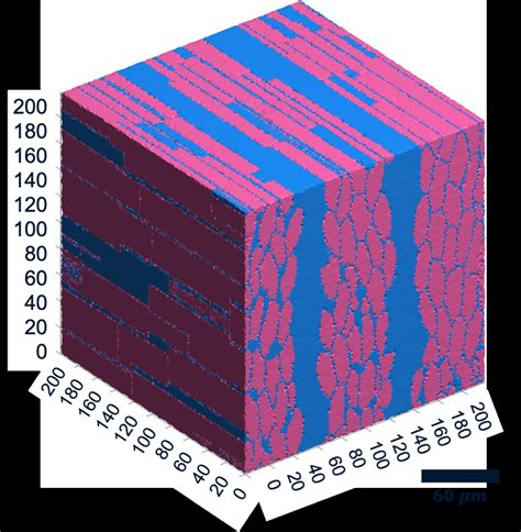 Increase Of ECS A Initial Status B Increase Of Inter CMs Space C Download Scientific
