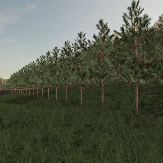 DAMCON PL75 V1 1 FS19 Mod FS19 Net