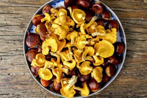 3 Best Way To Cook Fresh Shiitake Mushrooms That Brings Out Their Magic