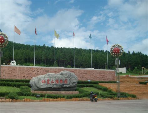 雅克萨古战场遗址 雅克萨古战场遗址值得去吗门票价格游玩攻略 排行榜123网