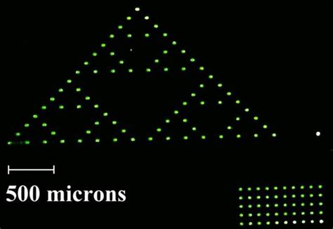 Custom Dna Microarray — Sonoplot