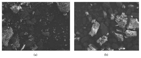 Physicochemical And Antimicrobial Properties Of Cocoa Pod Husk Pectin