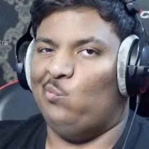 Banderitax 1 — Telegram Stickers Pack